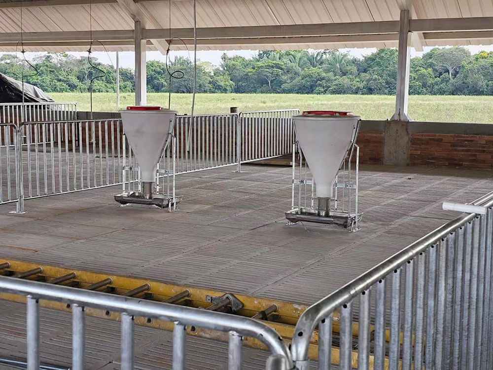 Different types automatic pig feeders for pig farm - Qingdao Quanmu ...